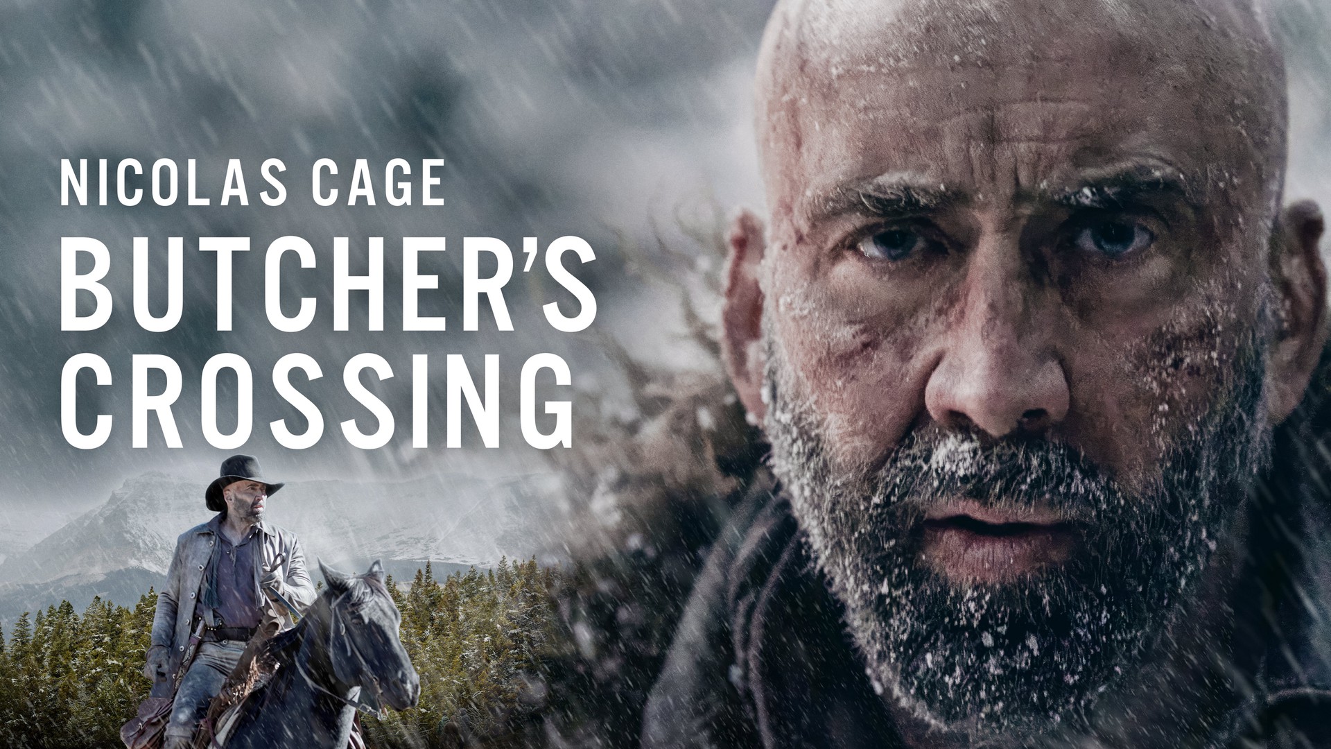 Program Info | Butcher's Crossing Program Info | Butcher's Crossing