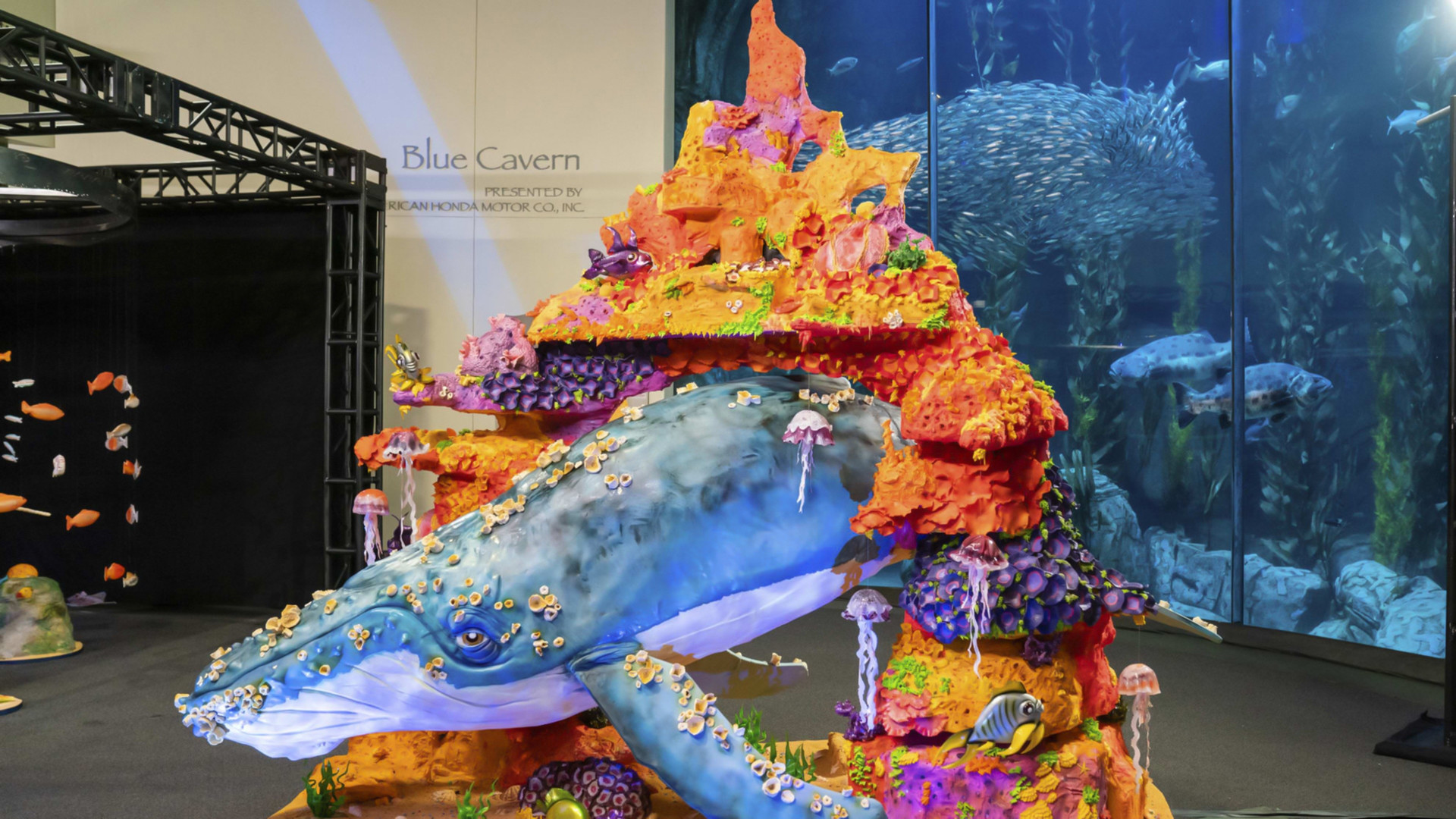 Watch Buddy vs. Duff Online | Verizon Fios TV